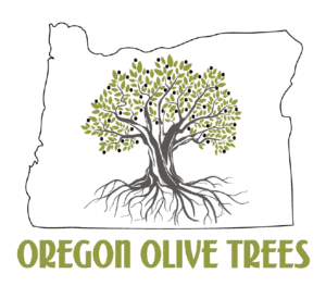Oregon Olive Trees – Premium Varieties for Northwest Olive Production
