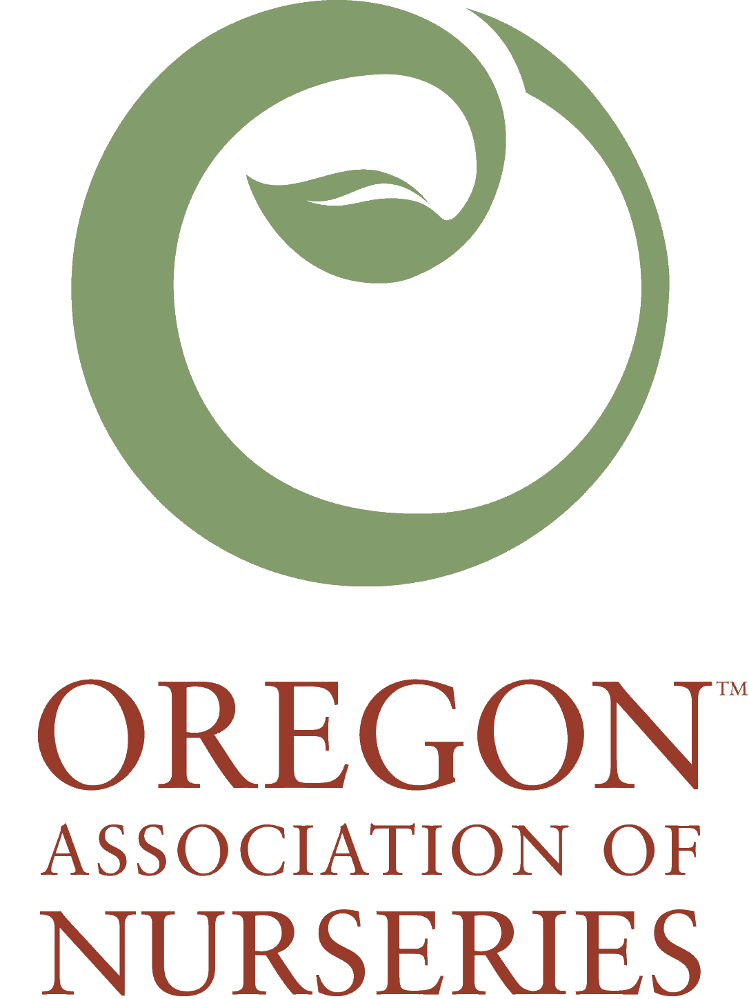 Oregon Olive Trees – Premium Varieties for Northwest Olive Production